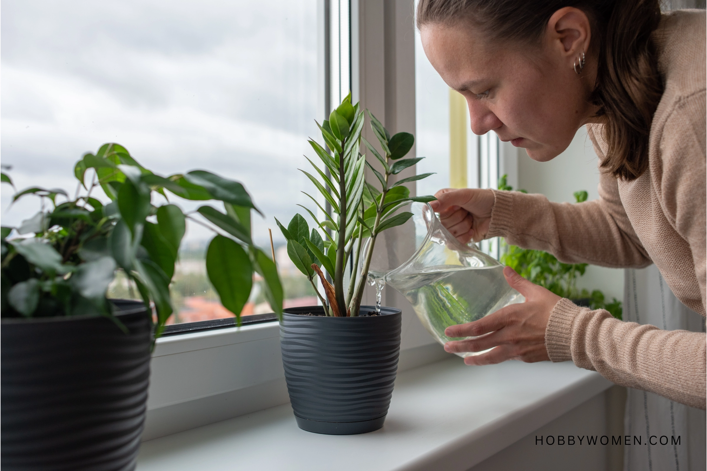 Plant Hobby: Nurture Your Green Thumb and Change Your Space